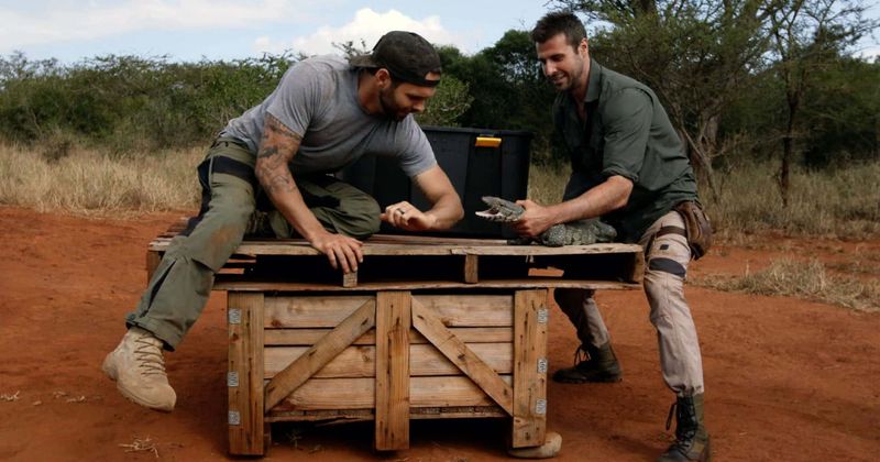 'Kings of Pain': Rob Alleva learns a new lesson, gets bitten by a ...