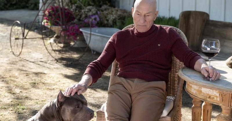 'Star Trek: Picard': How Jean-Luc Picard's dog Number One got his name ...