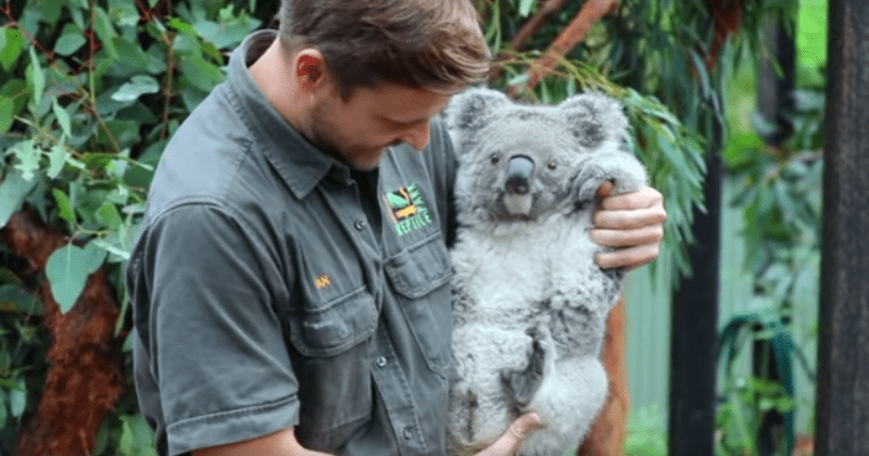 Joey Born's Instagram, Twitter & Facebook on IDCrawl