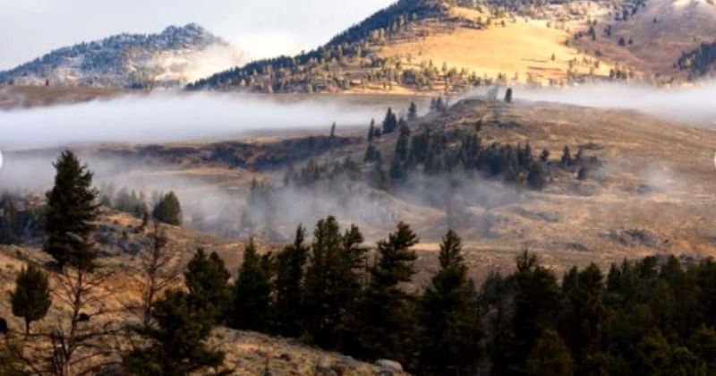 Where is America's 'Zone of Death'? A closer look at the 50-square-mile ...