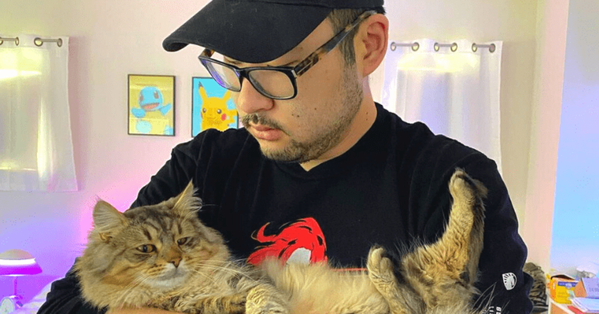 Who is Peter Park? Twitch streamer's cat Peepo tests positive for ...